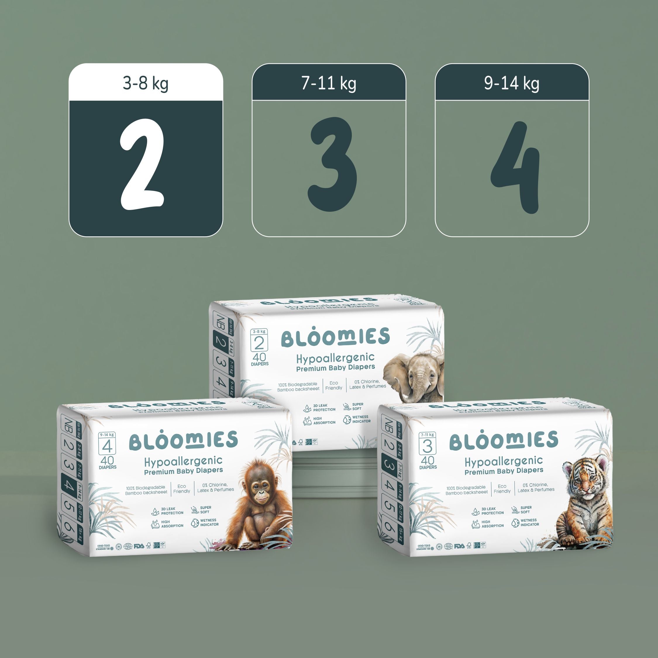 Bloomies Premium Baby Diapers & Pants